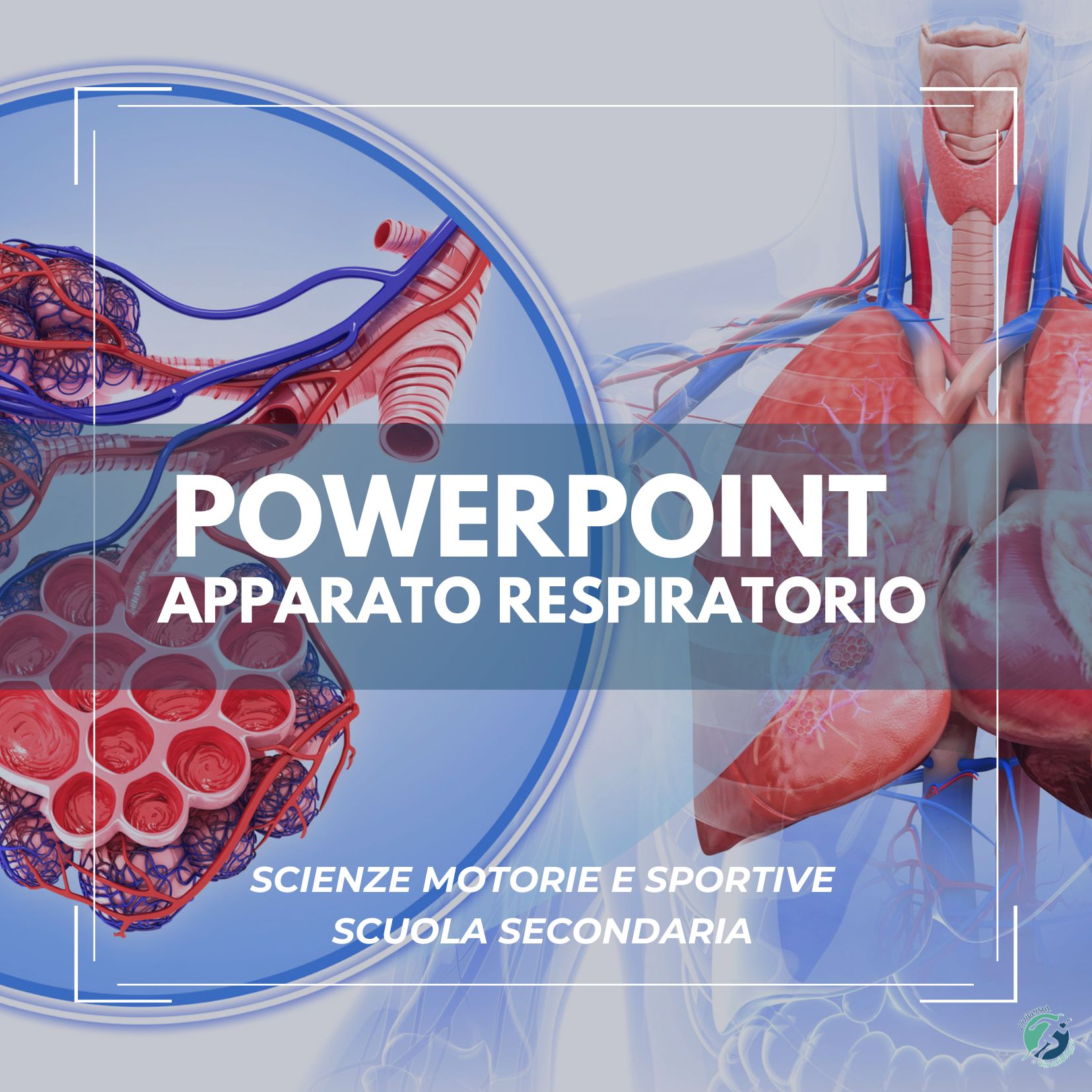 Apparato Respiratorio – PowerPoint - Shop Universal Kinesiology