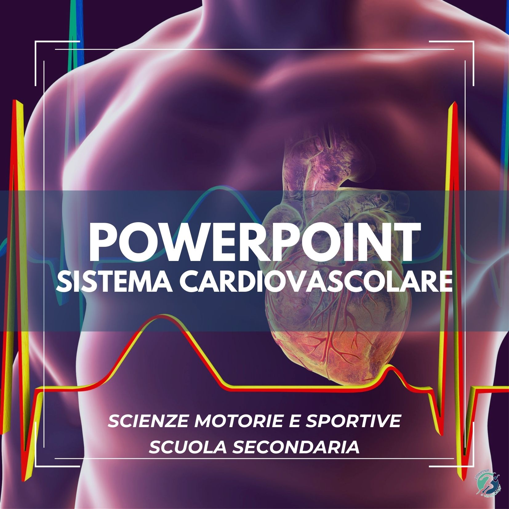 Sistema Cardiovascolare – PowerPoint - Shop Universal Kinesiology