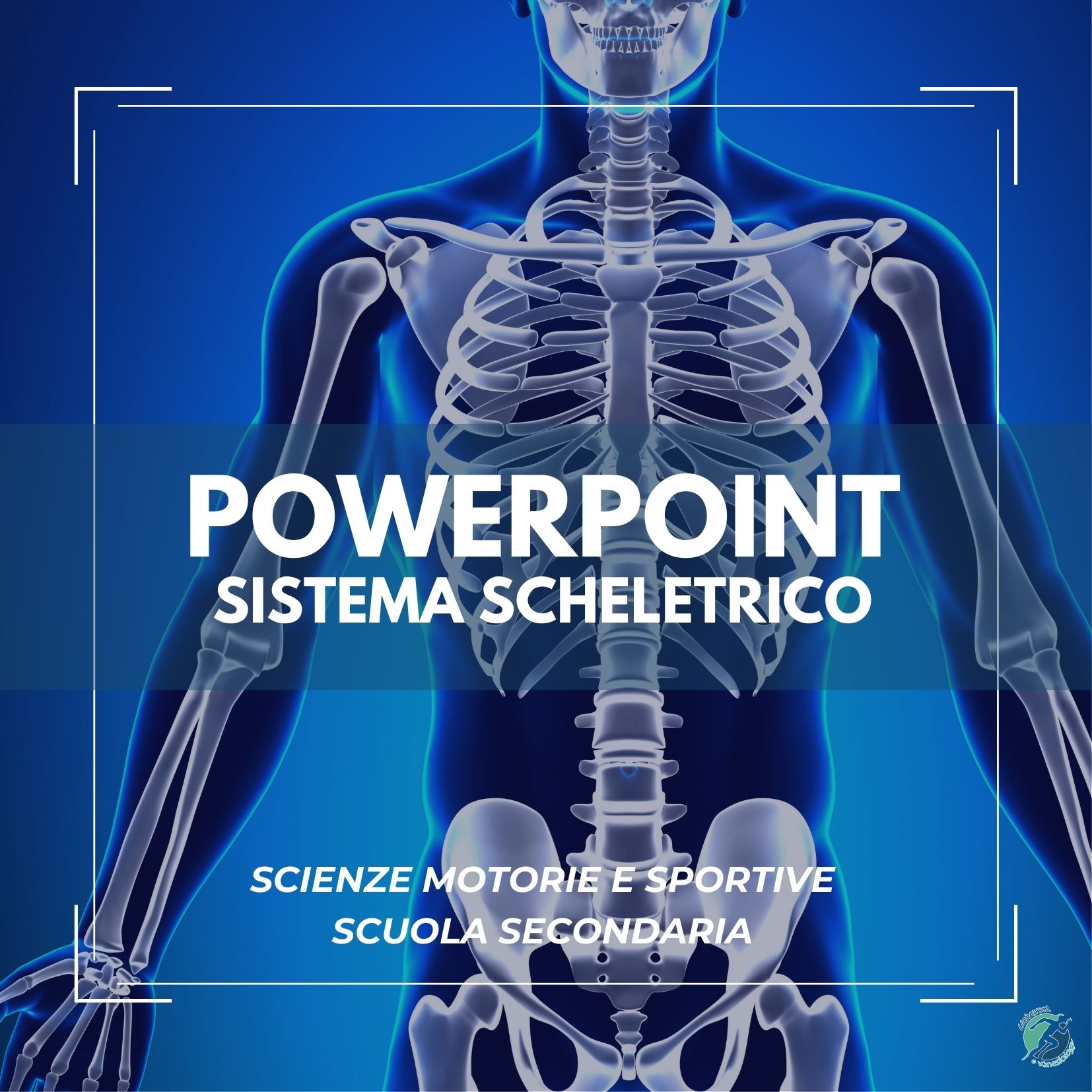 Sistema Scheletrico – PowerPoint - Shop Universal Kinesiology